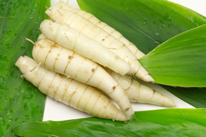 Arrow-root | Valpibio