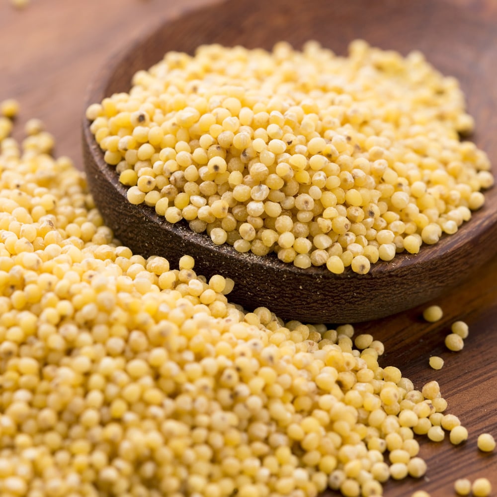 Le Millet | Valpibio