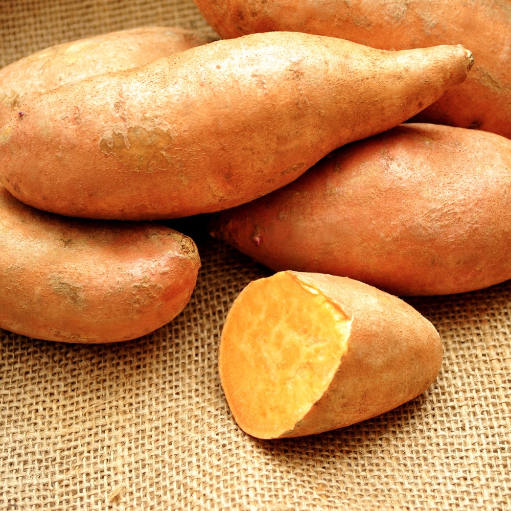 La Patate Douce | Valpibio